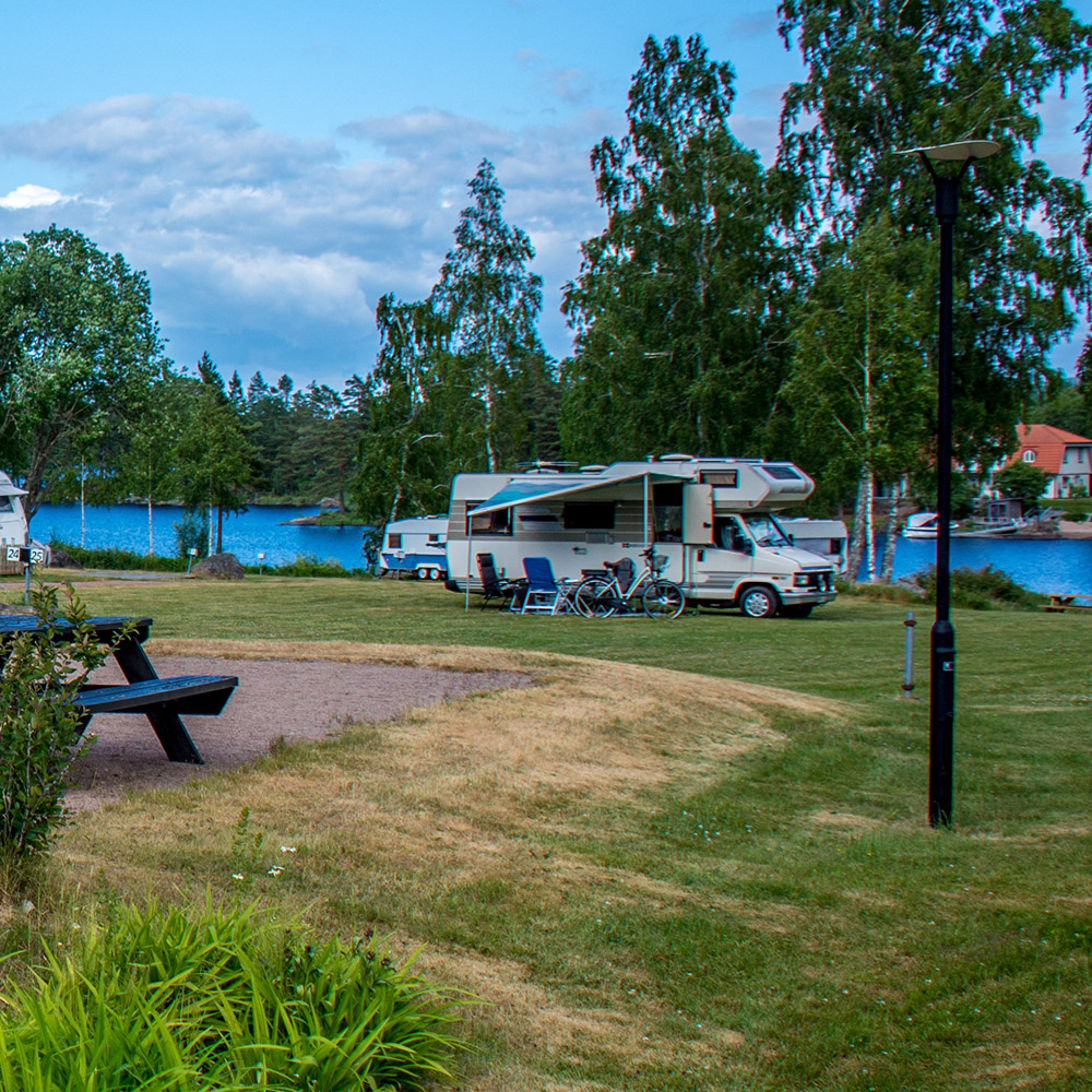 Föreningen för ett Levande Lungsund